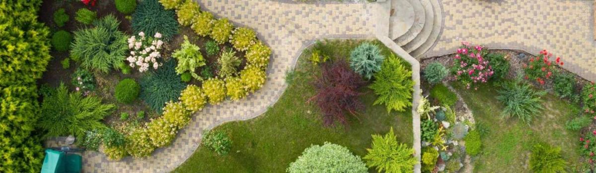 Insights & Ideas Landscape Design Trends